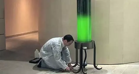 Can an Algae-Powered Lamp Quench Our Thirst For Energy?