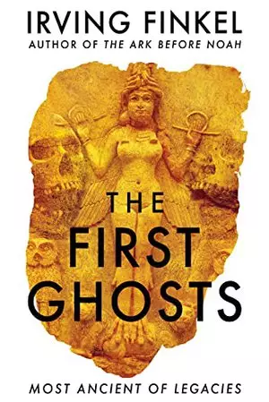 “The First Ghosts”的预览缩略图