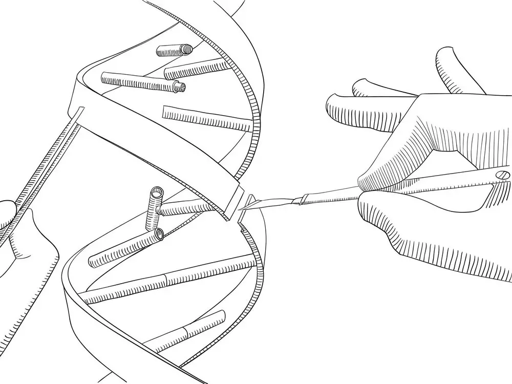 Unha nova ferramenta de edición de xenes podería facer que CRISPR sexa máis preciso