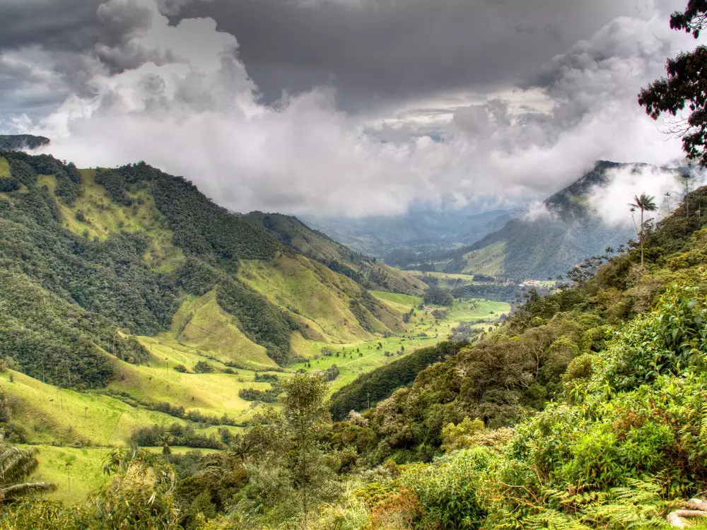 Cocora Valley