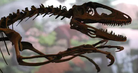Dinozaurai, kuriuos žinojome