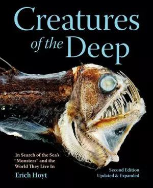 'Creatures of the Deep- ပင်လယ်၏ကြောက်မက်ဖွယ်ရာများနှင့် ၎င်းတို့နေထိုင်နေသောကမ္ဘာကိုရှာဖွေခြင်း ဗီဒီယိုအတွက် ပုံသေးကို အစမ်းကြည့်ရှုပါ