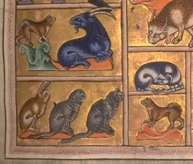 Yüksek Çözünürlüklü Fotoğraf, Yüzyılların Eski Aberdeen Bestiary'sinin Yeni Ayrıntılarını Ortaya Çıkardı 14175_2