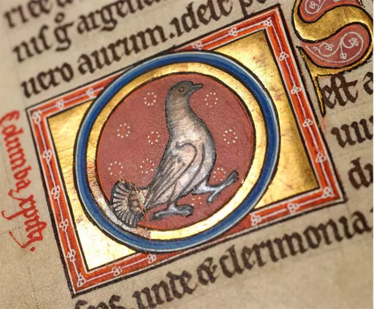 Hi-Res Photography Rivelas Novajn Detalojn de la Jarcenta Malnova Aberdeen Bestiary 14175_4