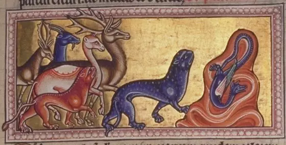 Fotografi Hi-Res Mendedahkan Butiran Baharu Aberdeen Bestiary Berabad-abad Lamanya 14175_5