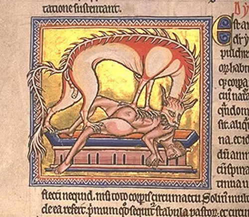 Yüksek Çözünürlüklü Fotoğraf, Yüzyılların Eski Aberdeen Bestiary'sinin Yeni Ayrıntılarını Ortaya Çıkardı 14175_6