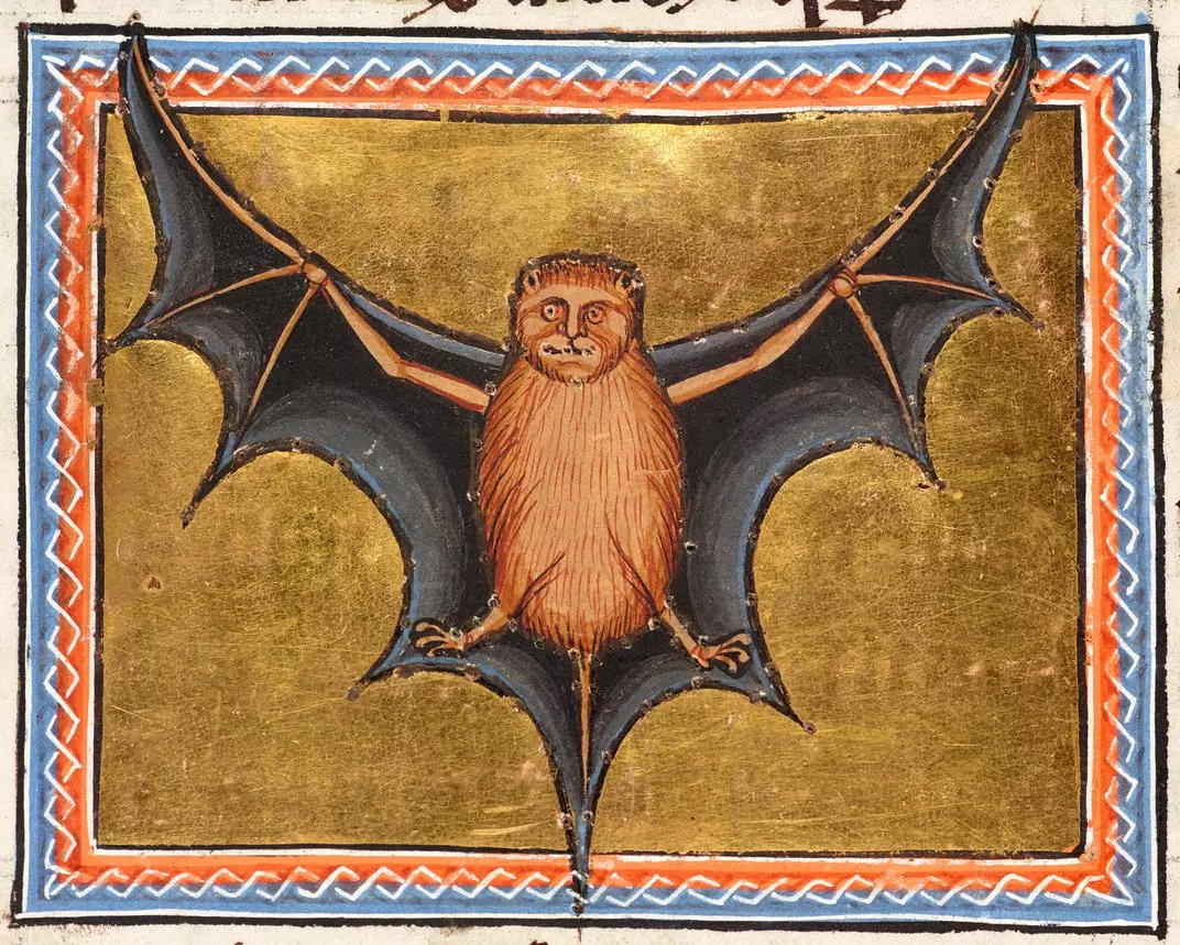 Højopløsningsfotografering afslører nye detaljer om det århundreder gamle Aberdeen Bestiary 14175_9