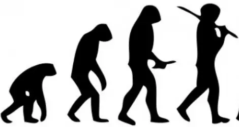 Cây gia đình của Homo Sapiens có thể ít phức tạp hơn chúng ta nghĩ