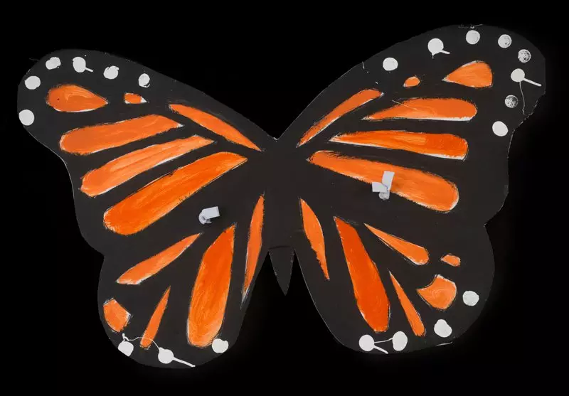 Como Butterfly Wings axudou a unha nova iniciativa de recollida de voar
