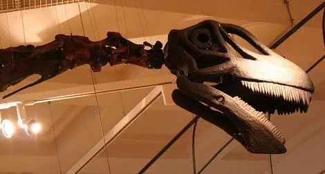 Zetiosaurus