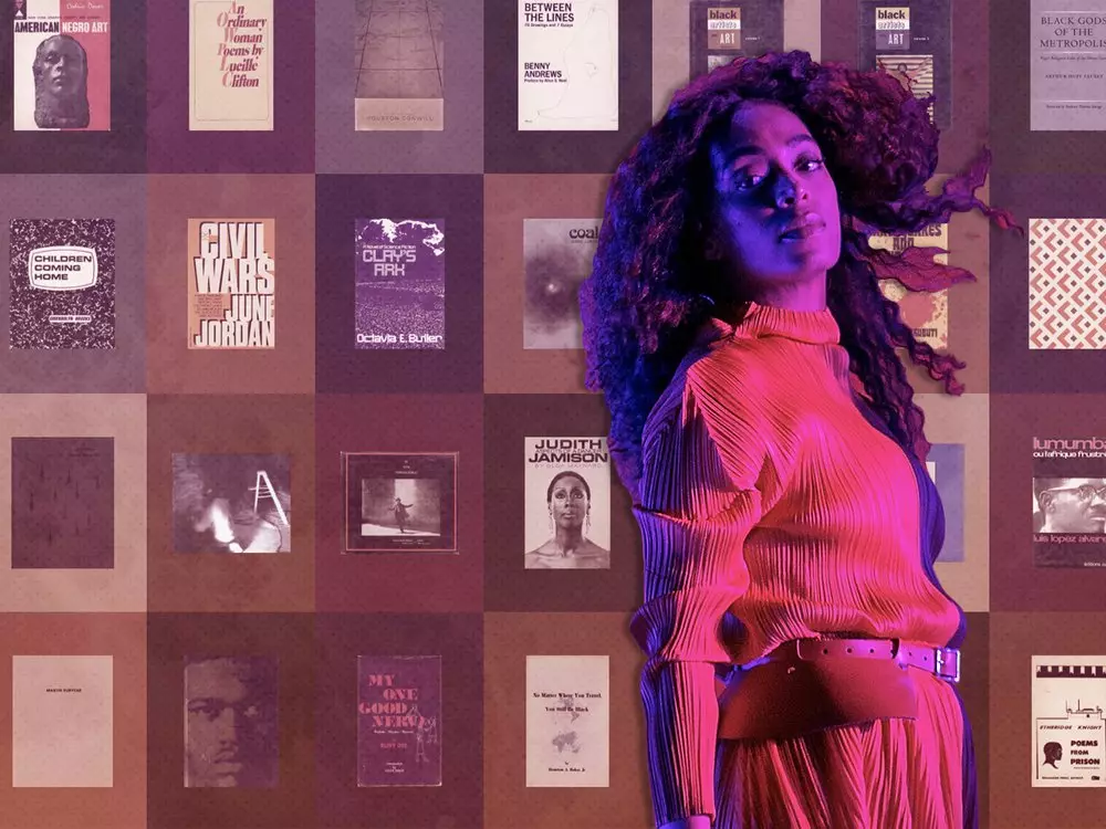 Penyanyi dan Artis Solange Debutkan Perpustakaan Gratis Buku Langka oleh Penulis Kulit Hitam