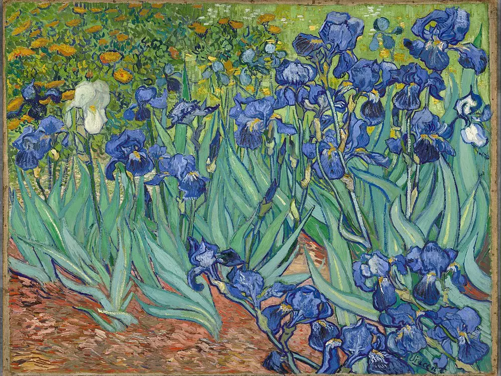 Iris, Vincent van Gogh