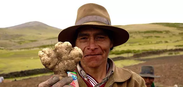 Farming Like the Incas