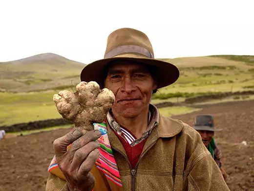 Bertani Seperti Suku Inca 14446_3