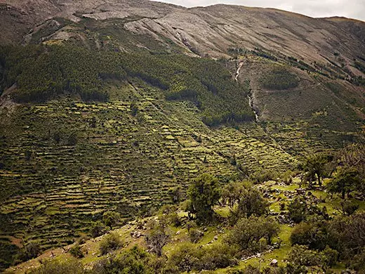 Agricultura la fel ca incașii 14446_8