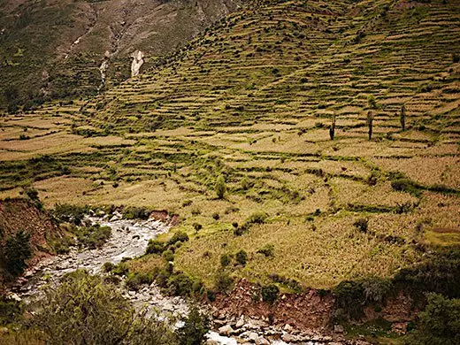 Agricultura la fel ca incașii 14446_9