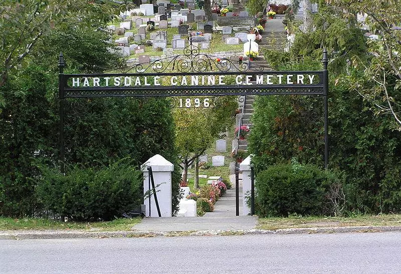 Slika prikazuje vhod na pokopališče hišnih ljubljenčkov in krematorij Hartsdale v New Yorku. Grmovje obkroža obe strani stopnišča z znakom iz kovanega železa, ki se glasi