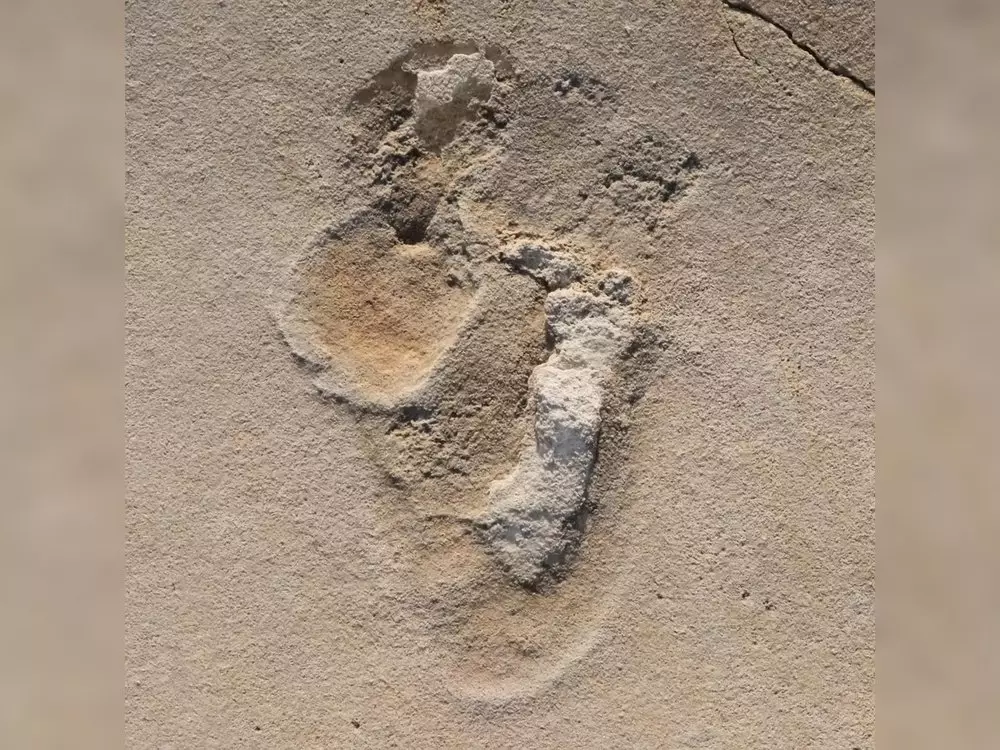 सबसे पुराने पैरों के निशान