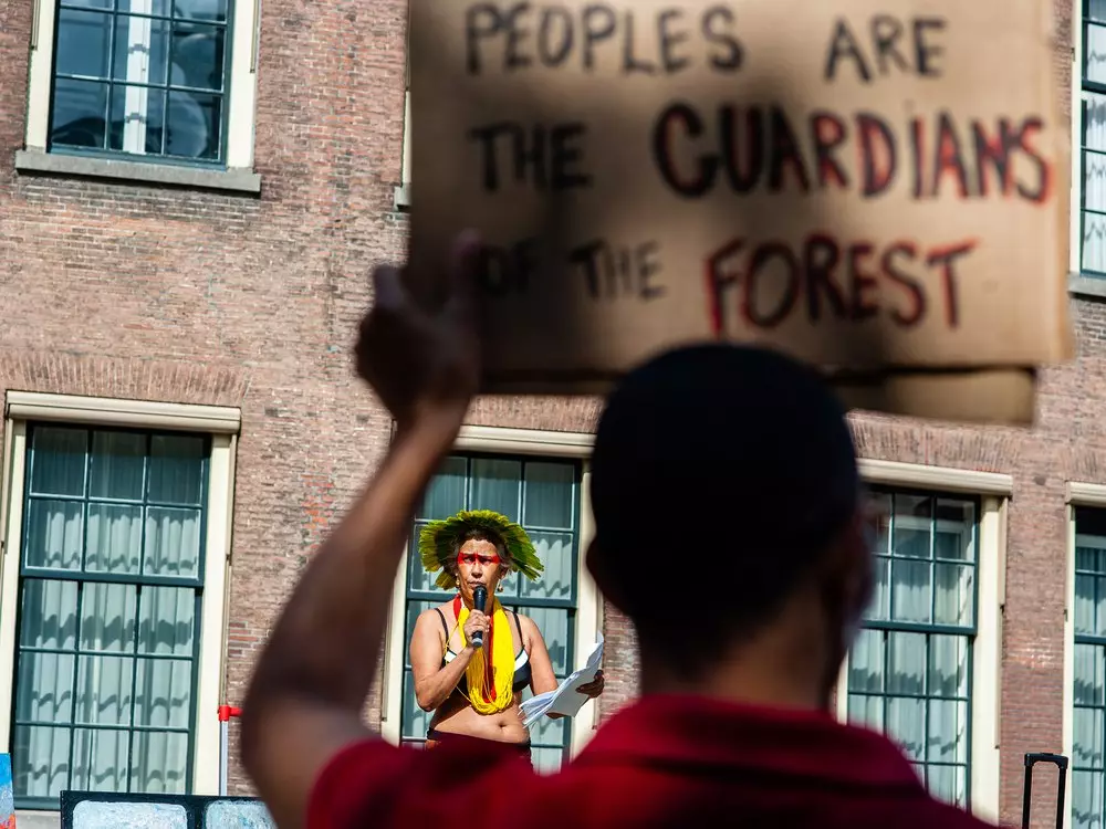 Sí, los bosques tropicales se quemaron trágicamente este verano, pero esto es lo que puede hacer