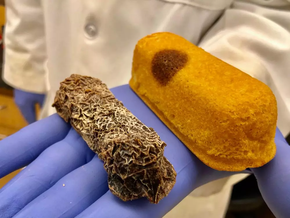 Des scientifiques étudient Twinkie momifié par la moisissure