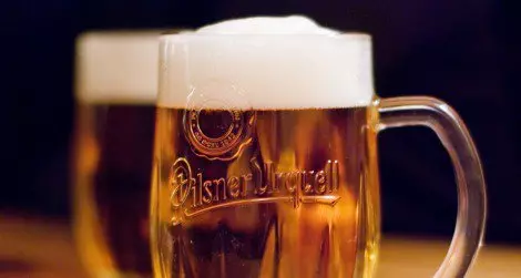 Οι επιστήμονες ανακάλυψαν πρόσφατα την άγρια μαγιά που χρησιμοποιήθηκε για την παρασκευή μπύρας lager.