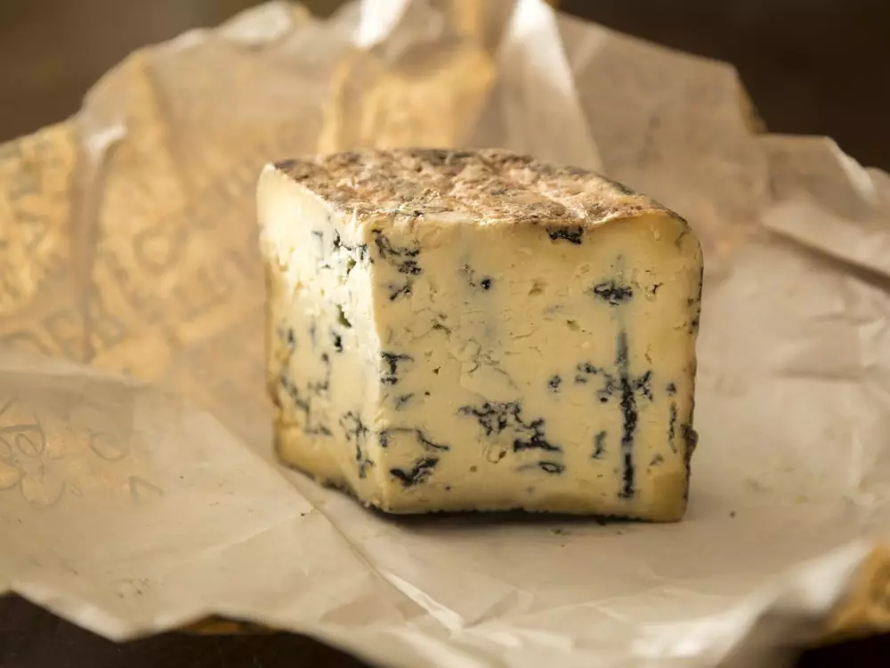 Obrázok modrého syra