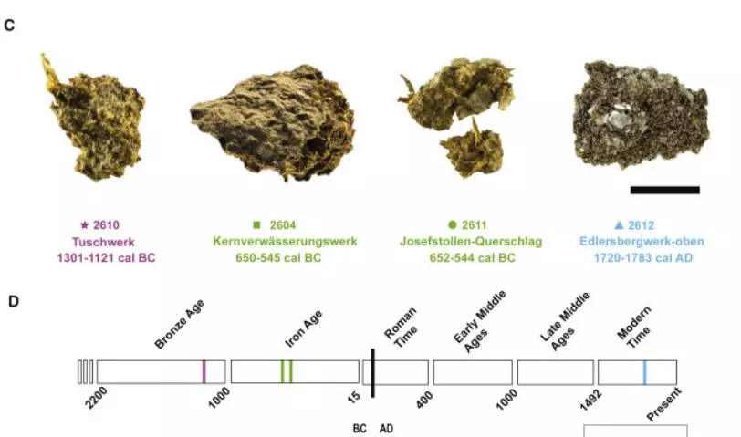 grafik nuduhake paleofeces saka periode wektu beda