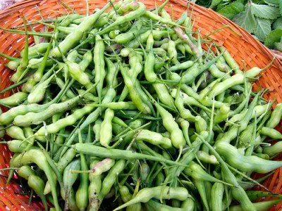 Radish Pods និងបន្លែពហុមុខងារផ្សេងទៀត។