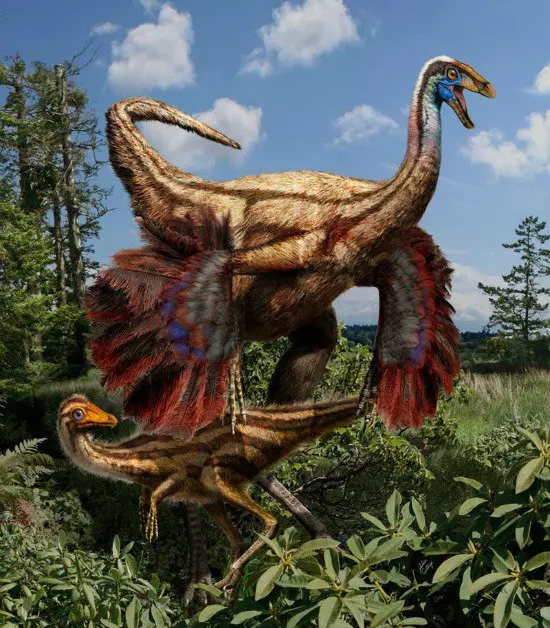 Avestruz emplumada imita a árvore genealógica dos dinossauros