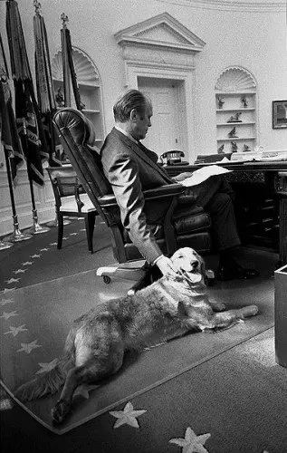 福特和他的金毛猎犬在椭圆形办公室