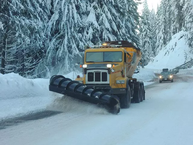 Chill Ways to Recycle Last Year&#x27;s Snow