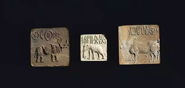 Indus forgatókönyv