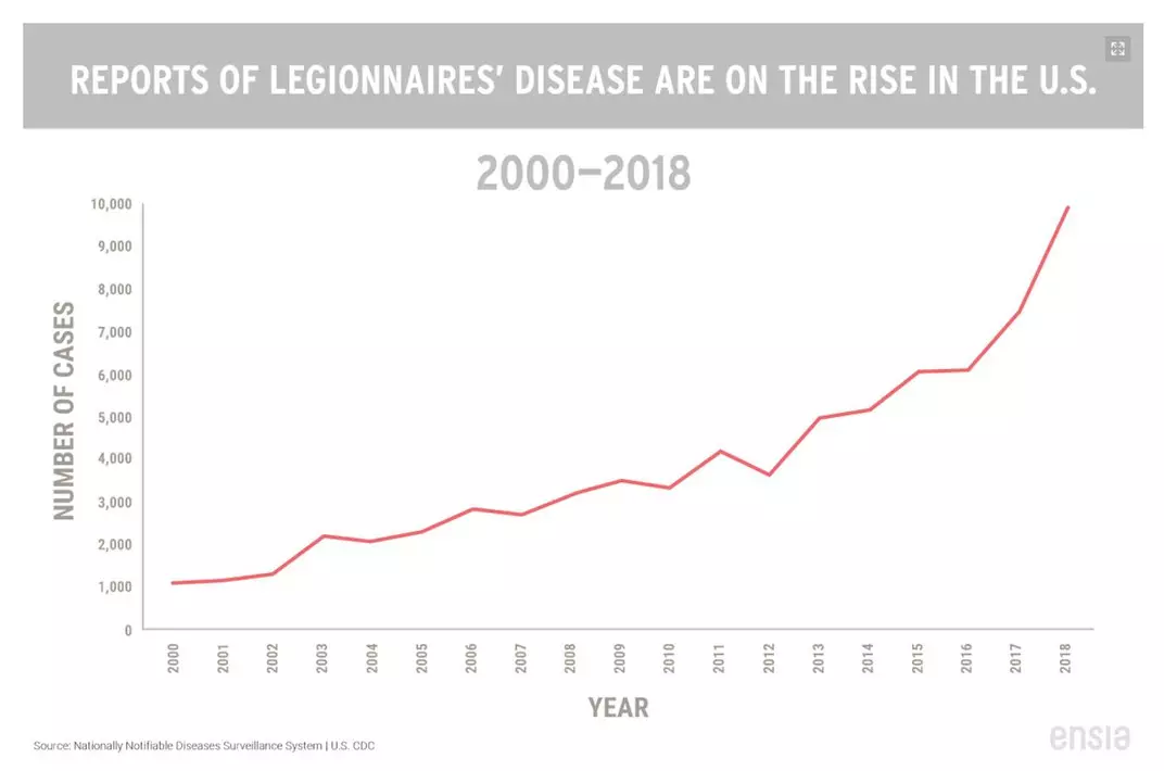 Statystyki dotyczące chorób legionistów