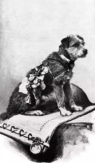 Owney the Mail Dog 15294_2