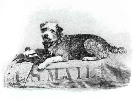 Owney the Mail Dog 15294_6
