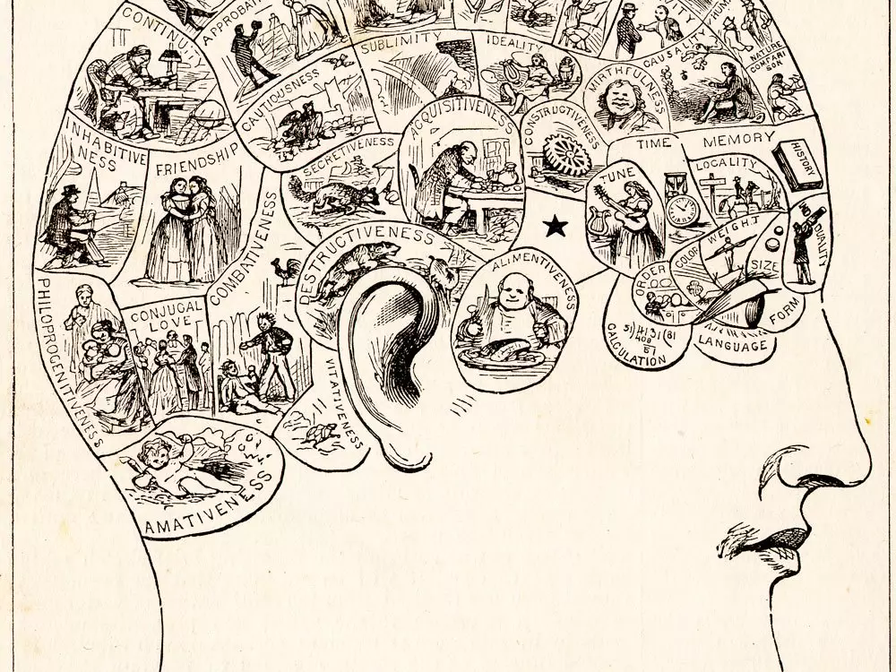 19वीं सदी का एक विशिष्ट फ्रेनोलॉजी चार्ट