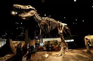 Дүйнөнүн Dinosaur борбору, уландысы: Drumheller, Alberta кайра чагып