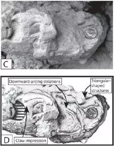 Jinamizi Mbaya Zaidi kwa Mamalia: Njaa, Wanachimba Dinosaurs