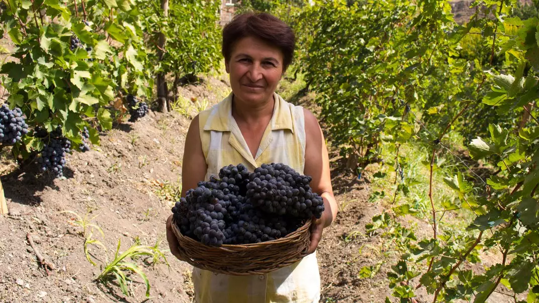 Kuinka liikkuvat viininmaistajaiset voisivat vallankumouksen armenialaisen viinimaan