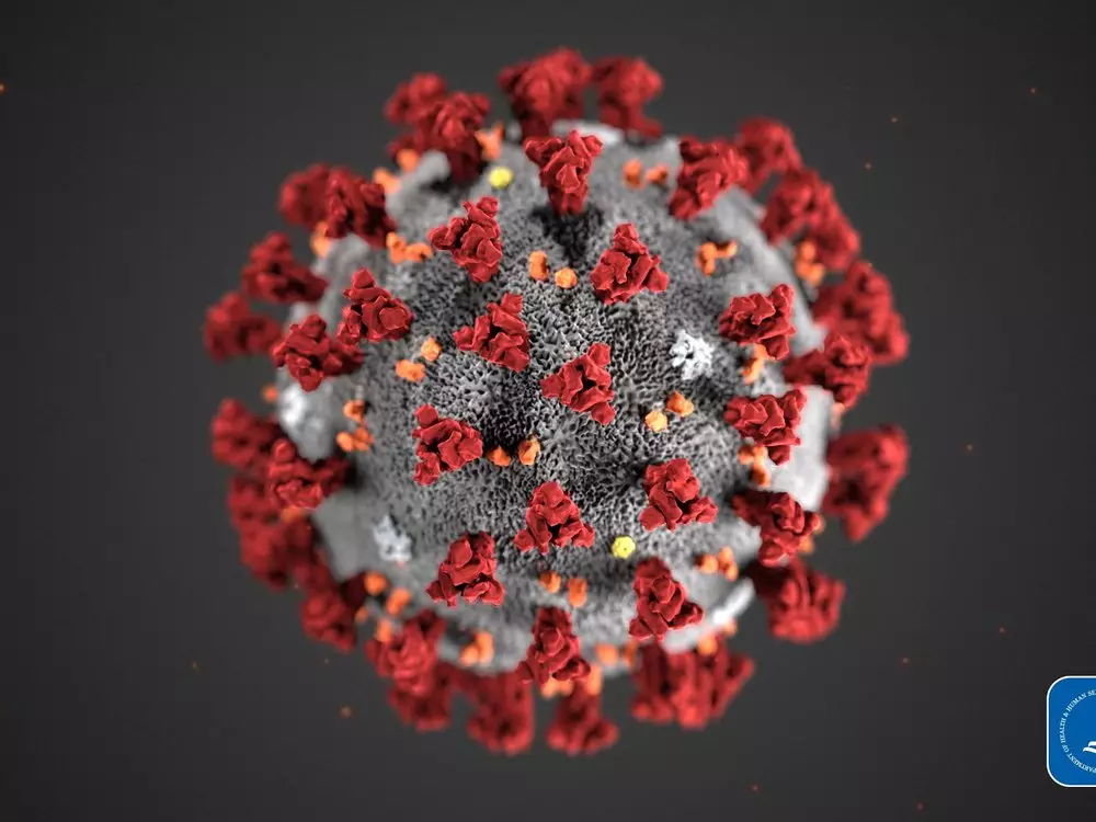 'Een gesondheid' kan die volgende koronavirus-uitbraak voorkom