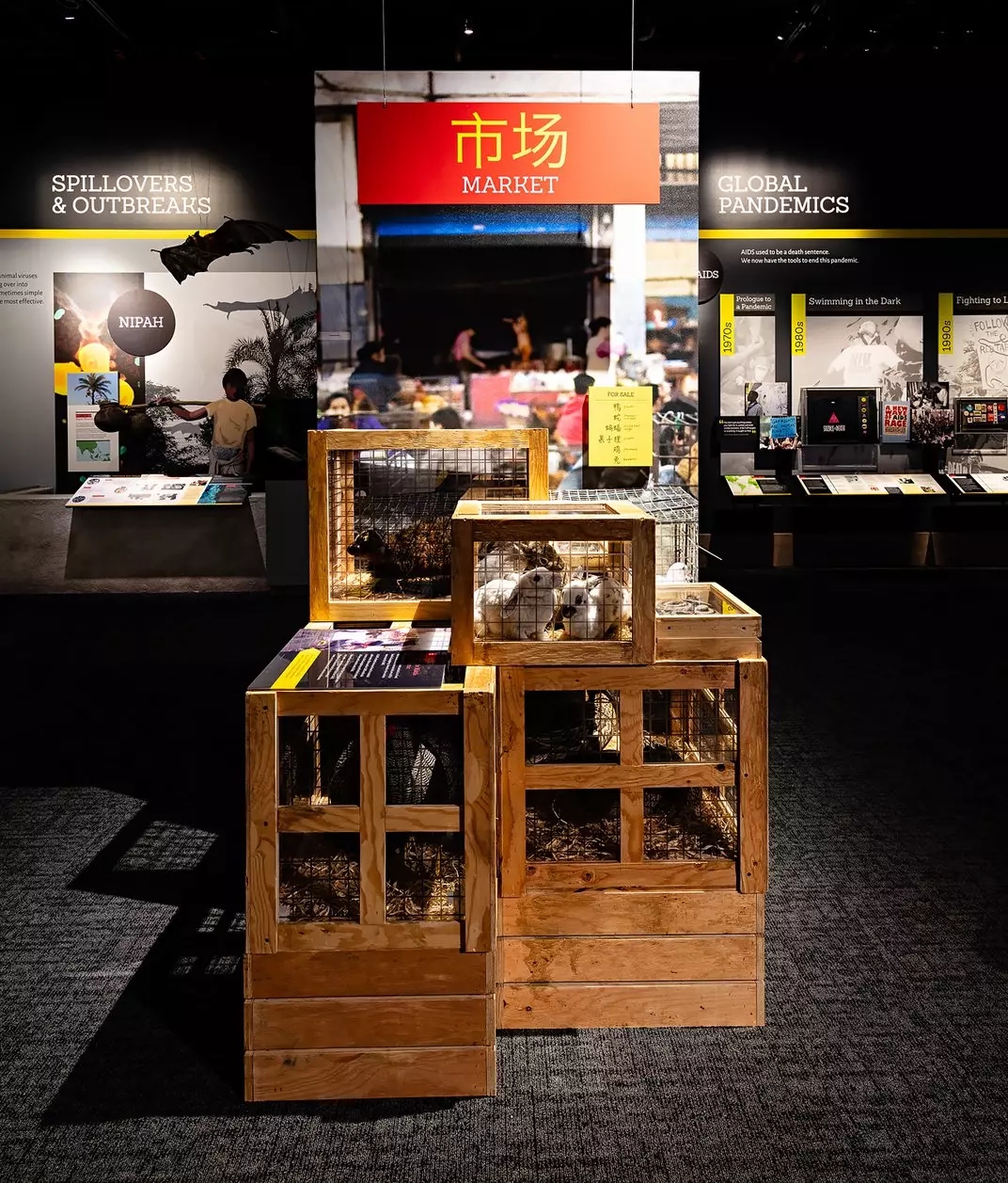 Una mostra que consisteix en animals salvatges replicats en caixes de fusta per imitar un mercat d'animals vius en una exposició sobre pandèmies al Museu Nacional d'Història Natural de l'Smithsonian.