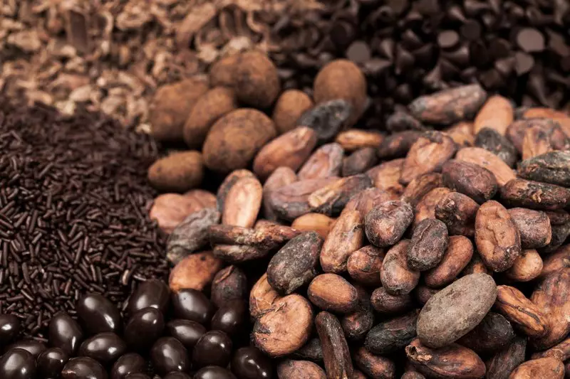 Наука объясняет, почему шоколад нужно смаковать, а не выбрасывать 15583_3