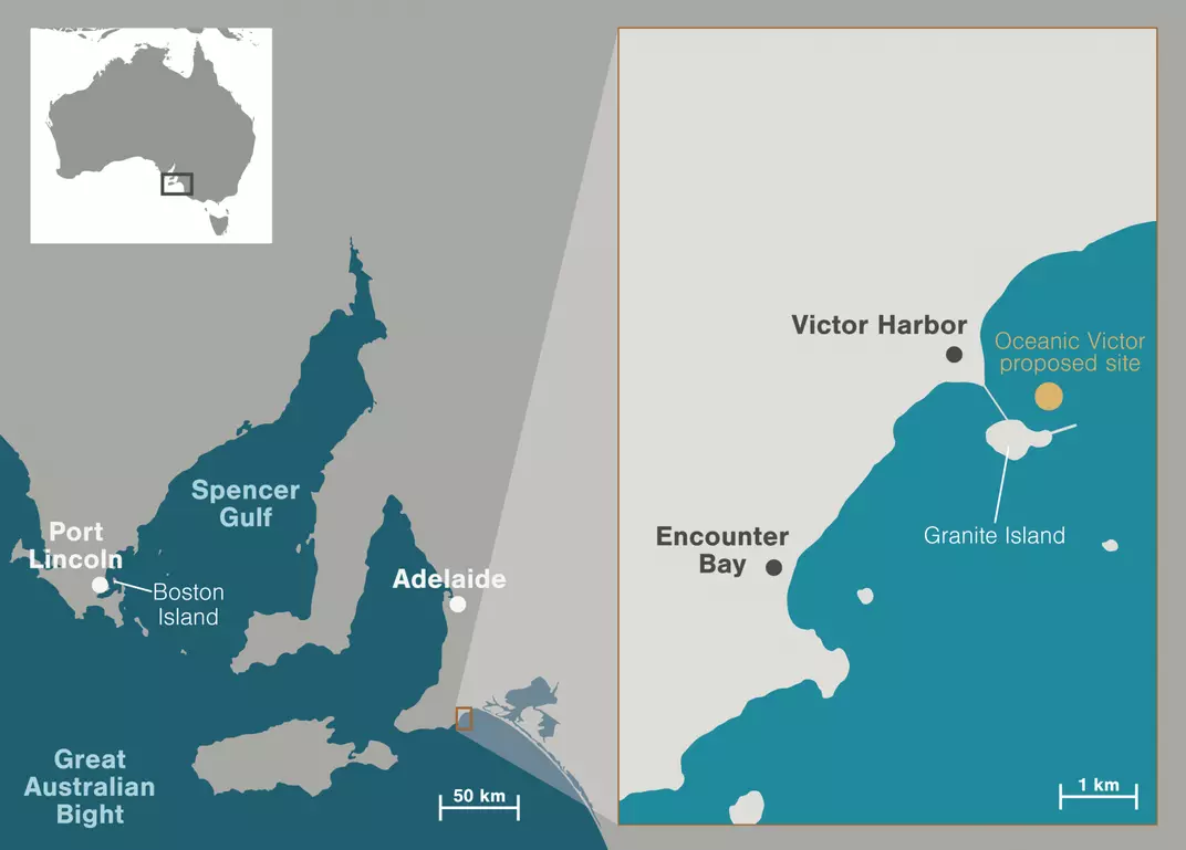 Een bizarre 'zwemmen met tonijn'-attractie zet de controversiële aquacultuur van Australië in de schijnwerpers