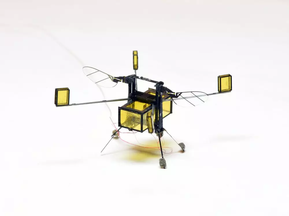 Watch This RoboBee Surge From Water to Sky