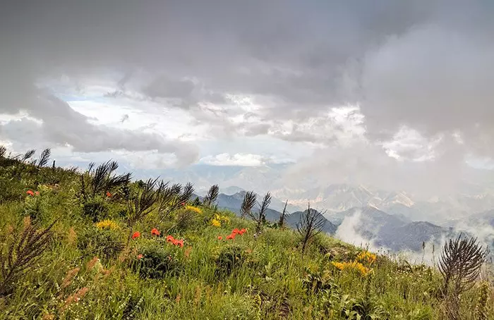 Transcaucasian Trail