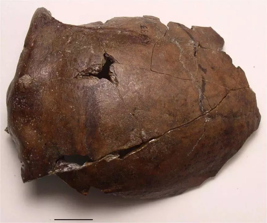 이 고대 해골은 세계에서 가장 오래된 쓰나미 희생자의 것일 수 있습니다