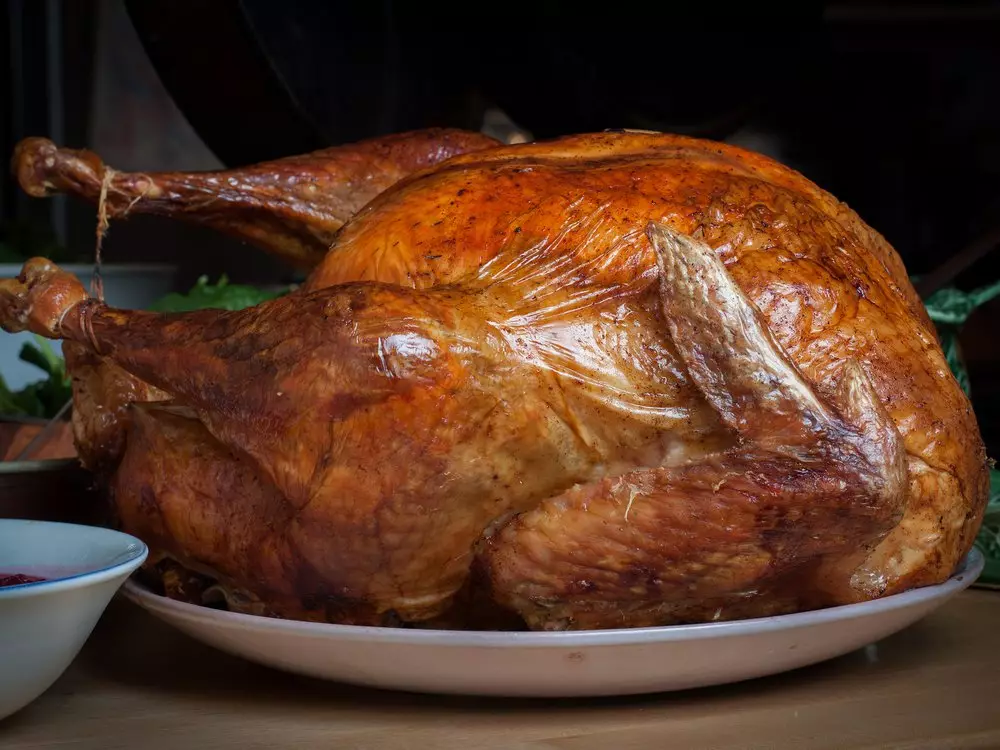 Iyo yechinyakare Thanksgiving turkey inonaka, asi iyo paleo? (Chikwereti chemufananidzo: Tim Sackton kuburikidza neFlickr)