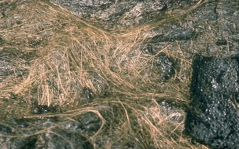 خيوط من الزجاج البركاني الأصفر الملون. تشبه الخيوط شعر الإنسان الأشقر.