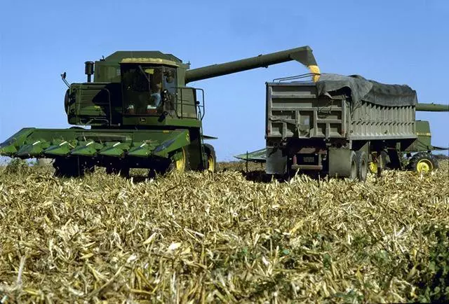 O millo é a principal materia prima utilizada para producir combustible de etanol nos Estados Unidos.