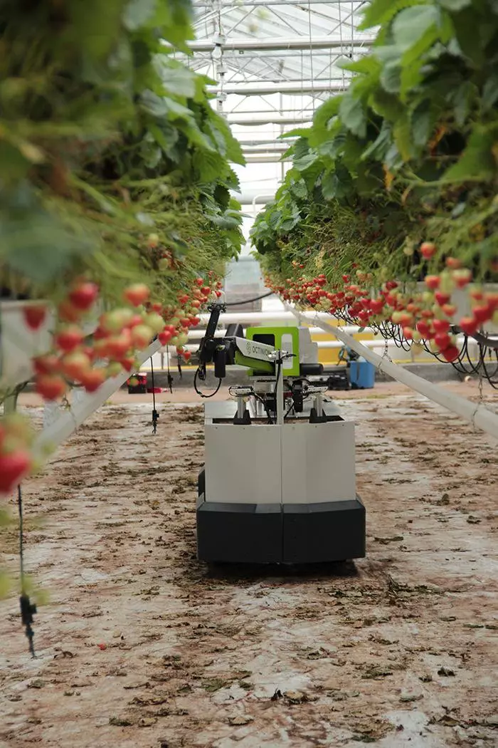 Robot Lima Peranan Akan Dimainkan di Masa Depan Pertanian